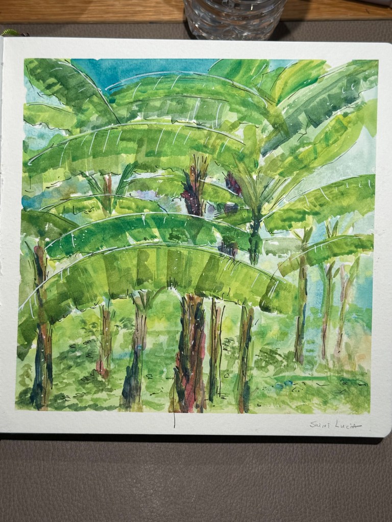 Winter Vortex, Rewrites and Pinkerton Falls – Lily Writes